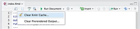 prerendered shiny documents