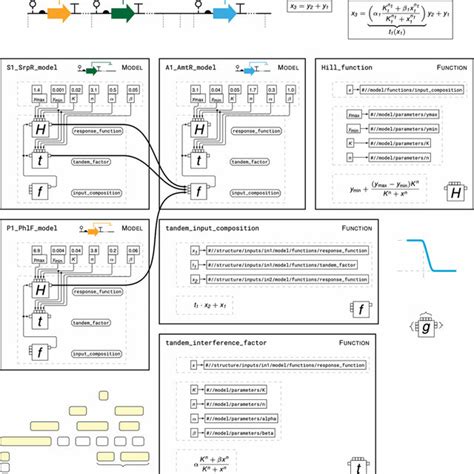 Pdf Genetic Circuit Design Automation With Cello 20