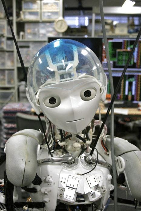 1 Advanced Mini Humanoid Robot [12] Download Scientific Diagram