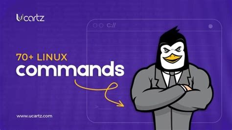 75 Essential Linux Commands Web Hosting And It Consultancy Services