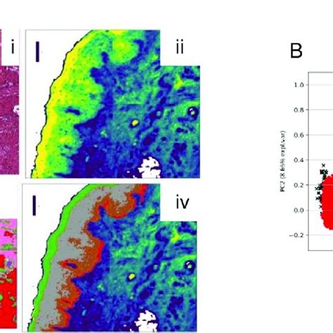 Identification Of IR Data To Be Used In Classification A Example Of Download Scientific
