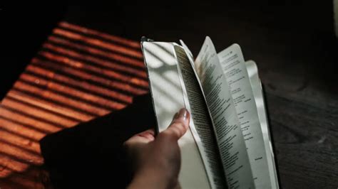 What Version Of The Bible Is Used In Catholic Mass The Holy Script