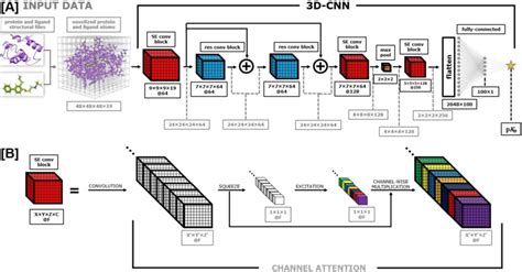 3d Cnn Architecture Used In Hac Net Gray Arrows And Text Refer To Data