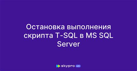 Остановка выполнения скрипта T Sql в Ms Sql Server