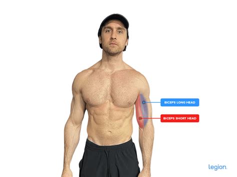 How To Do The Incline Dumbbell Curl Form Benefits