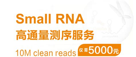 转录组测序 Small Rna测序促销