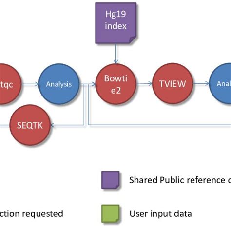 Mutation Analysis Workflow Download Scientific Diagram