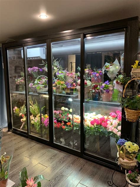 Холодильники для цветов витрина цена — купить по низкой цене на Яндекс Маркете