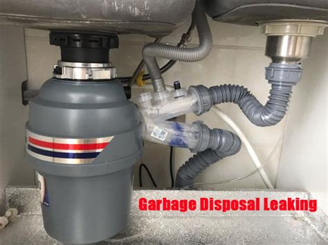 Why Is My Garbage Disposal Leaking Gray Plumbing Inc