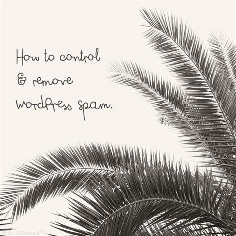 How To Control And Remove Wordpress Spam Noor Alqahtani