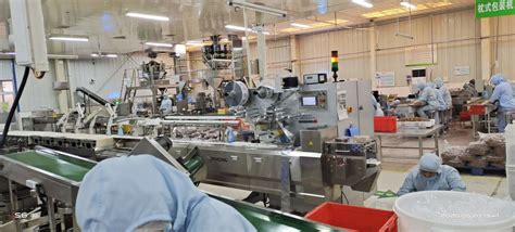 Exp Date Hot Ink Roll Coder Ppm W Batch Number Coding Machine