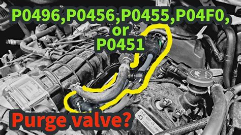 evap purge valve knocking at catherine fletcher blog