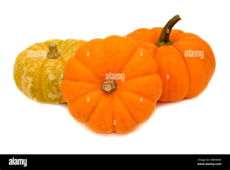 Mini Pumpkins Cut Out Stock Images And Pictures Alamy