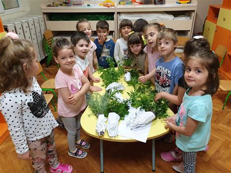 Екологичното възпитание в предучилищна възраст е своеобразен организиран процес на педагогическо