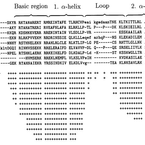 Part Of An Alignment Of Nine Basic Helixloophelix Proteins As