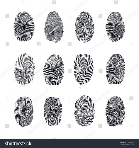 Fingerprint Vector Set Stock Vector Royalty Free Shutterstock