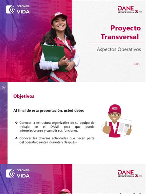 Funciones Del Gestor Informático En El Dane Pdf Información