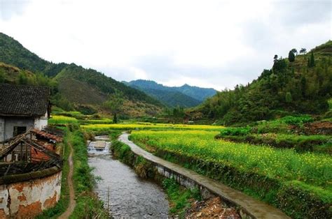 中國風景美圖淳安芹川村 每日頭條