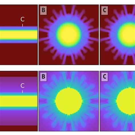Close Up View Of The Rectangular Region In Fig 6c With Longitudinal Download Scientific
