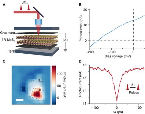 Ultrafast Response Of Spontaneous Photovoltaic Effect In 3r Mos2based Heterostructures