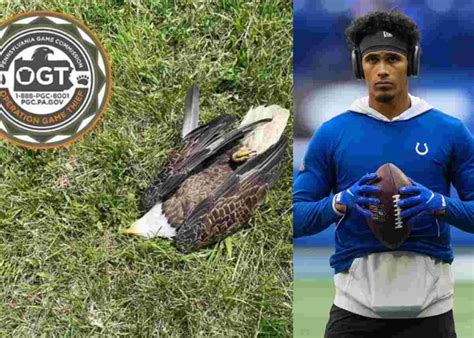 Indianapolis Colts Safety Rodney Thomass Father Arrested For Killing Bald Eagle In Tragic Incident