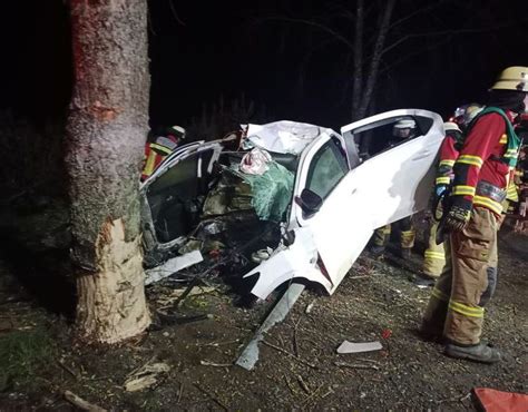 Conductor Murió Tras Chocar Contra Un árbol En La Ruta Valdivia Niebla