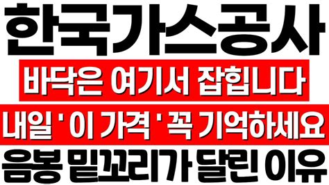 한국가스공사 주가 전망 오늘 음봉 밑꼬리가 달린 이유 내일 이렇게 대응하세요 한국가스공사 주식 분석 한국가스공사 목표가 동해 석유 가스 전략 회의 대왕고래