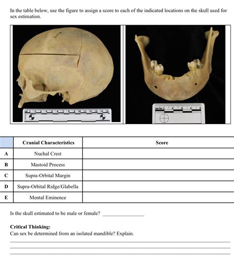 Solved In The Table Below Use The Figure To Assign A Score