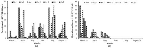 Spatio Temporal Variations In Cell Abundance Of Escherichia Coli A Download Scientific