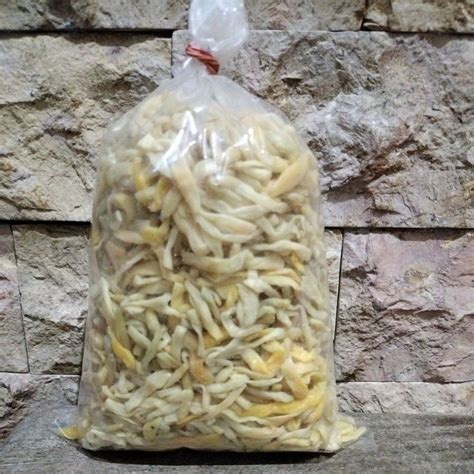 Jual Kim Cam Bunga Sedap Malam Kimcam Shopee Indonesia