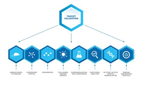 Target Validation Techniques Sygnature Discovery