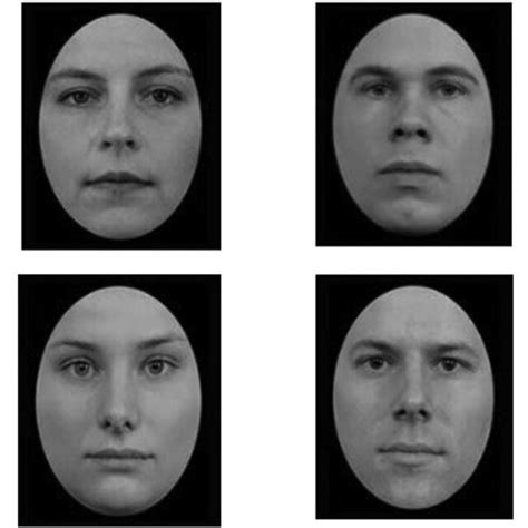 Women S Left And Men S Right Faces Used In The Gender Task Download Scientific Diagram