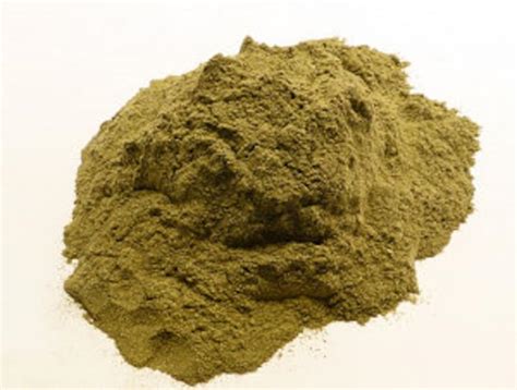 Jiaogulan Powder Etsy