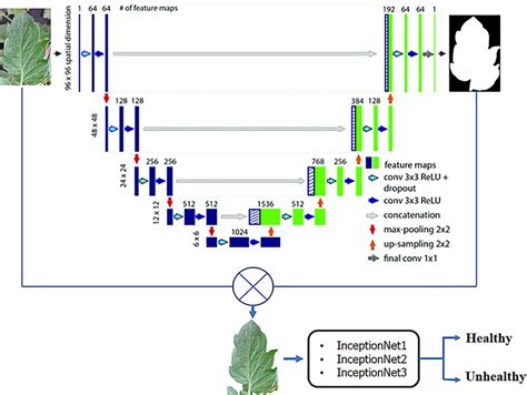 Frontiers An Advanced Deep Learning Models Based Plant Disease