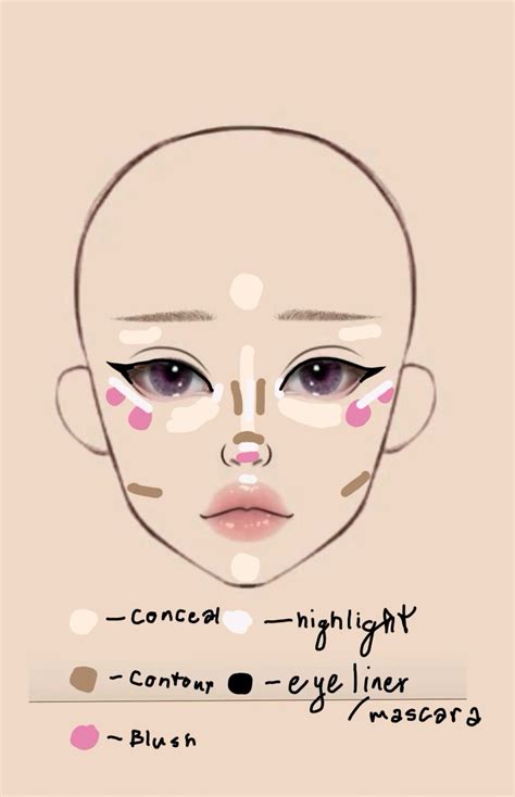Makeup Diagram For Highlighting And Contouring Artofit
