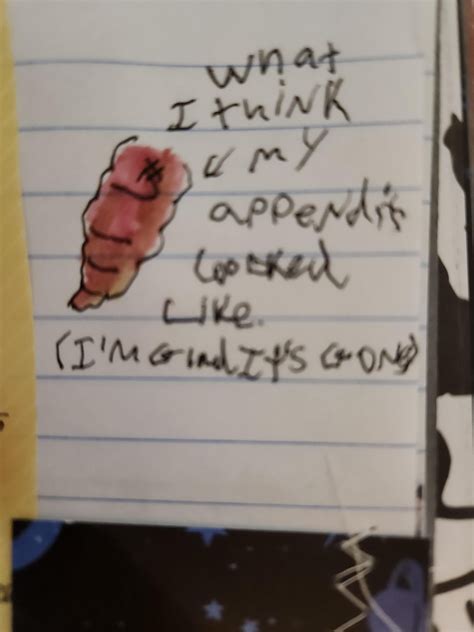 Im Sick And Miss Drawing In My Sketchbook On My Computer So I Tried Doodling In My Journal