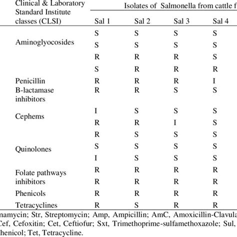 Antibiogram Of Individual Salmonella Isolates From The Faeces Of Cattle Download Table