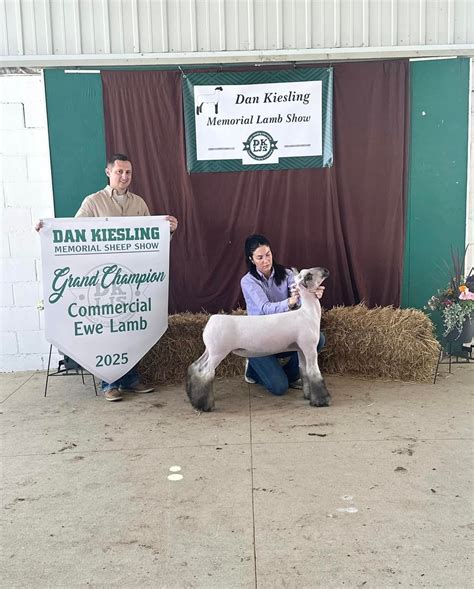 Deno Grand Champion Commercial Ewe Dan Kiesling Memorial Jackpot Show Mi Ceasefire X Ice