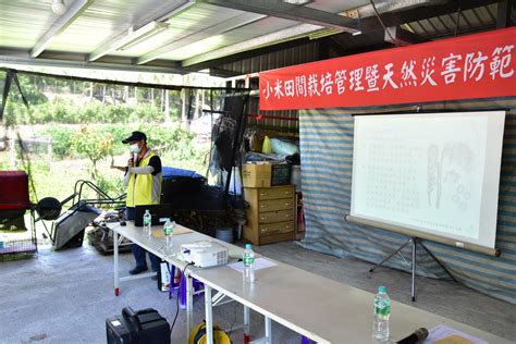 小米田間栽培管理訓練於達仁鄉登場病蟲鳥害精準處理 臺東區農業改良場