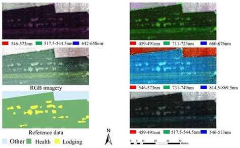 Remote Sensing Free Full Text Efficient Wheat Lodging Detection Using Uav Remote Sensing