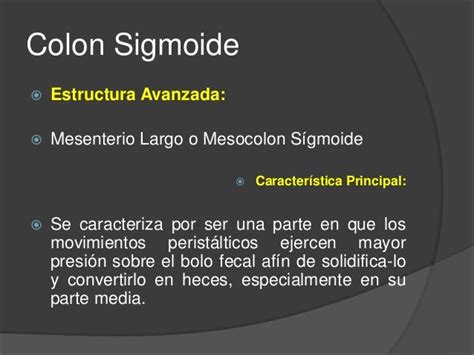 Exposición Colon Y Volvulo Sigmoide
