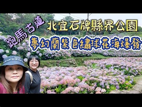 礁溪跑馬古道走往北宜石牌縣界公園 初夏正是繡球花海打卡季 花迷控的你還不來嗎113 6 6 YouTube