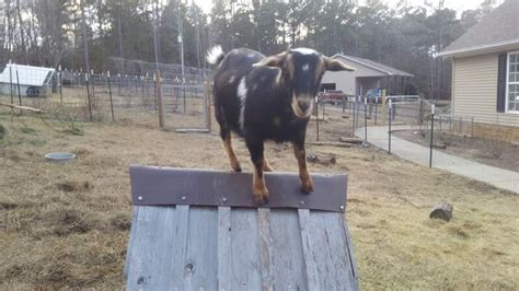 Best Wifi For Small Farm Networking Spiceworks Community