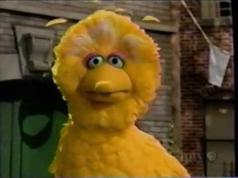 Sesame Street 3884 Big Bird Loses Radar Youtube