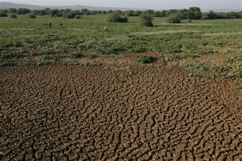 Drought Observe Near Real Time Drought Monitoring For Africa Using Fao