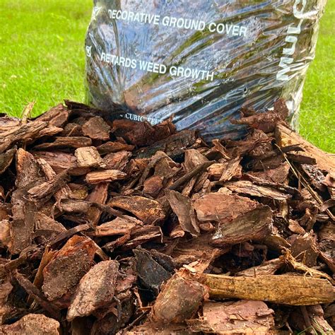 Pine Bark Mulch Jungle Plants