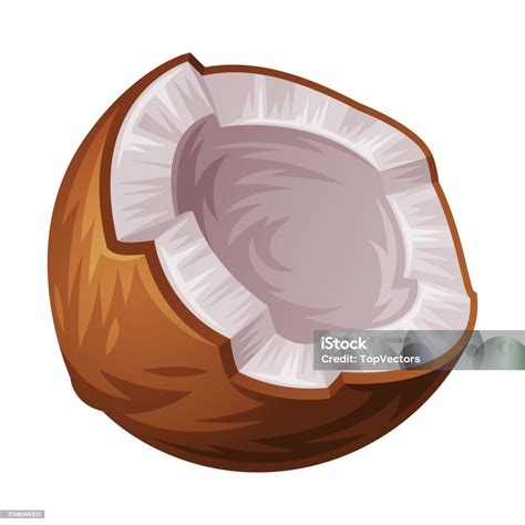 코코넛 절반 와 갈색 섬유질 껍질 와 백색 육체 벡터 일러스트 갈색에 대한 스톡 벡터 아트 및 기타 이미지 갈색 건강한 식생활 겉껍질 Istock