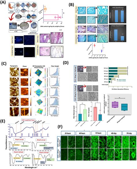 Schematic Illustration Of Parameters Of Decellularized Tissue Download Scientific Diagram
