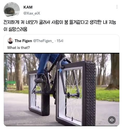 진지하게 저 네모가 굴러서 사람이 붕 뜰거같다고 생각한 내 지능이 실망스러움twt 인스티즈instiz 인티포털 카테고리