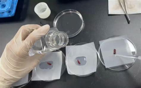 【流式细胞术】样本处理之小鼠脾脏中获取淋巴细胞详细操作过程，处理后刺激4 6小时，即可上机进行流式 是小蓝同学呀 生物实验 哔哩哔哩视频